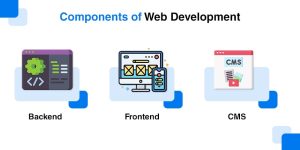 16 Web Development Languages: Build Fast and Secure Websites